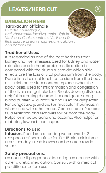 PHARMA GERMANIA - Dandelion Herb Cut - 75g – onelifehealth