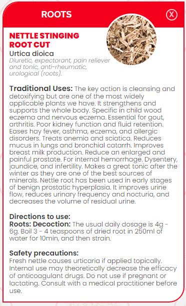 PHARMA GERMANIA - Nettle Stinging Root Cut - 75g – onelifehealth