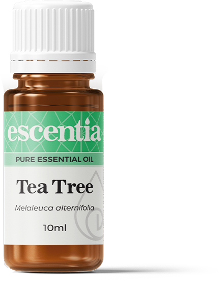 ESCENTIA -Tea Tree Essential Oil - 10ml – onelifehealth